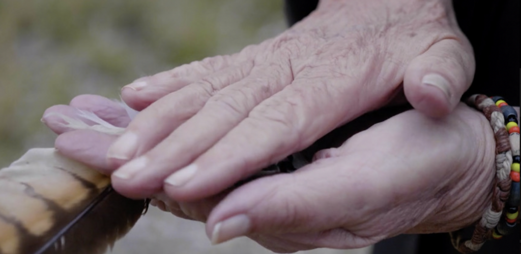 NYWIFT Member Screening: Entanglement - New York Women in Film ...