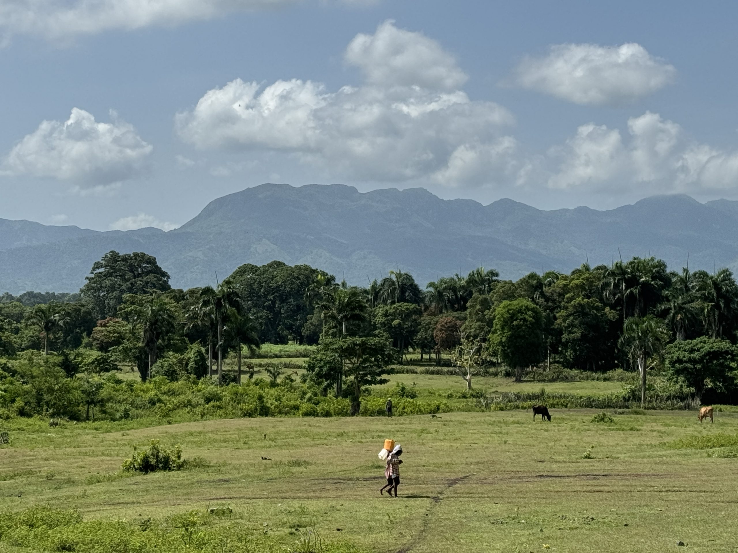 Ti Zwazo - New York Women in Film & TelevisionNew York Women in Film ...